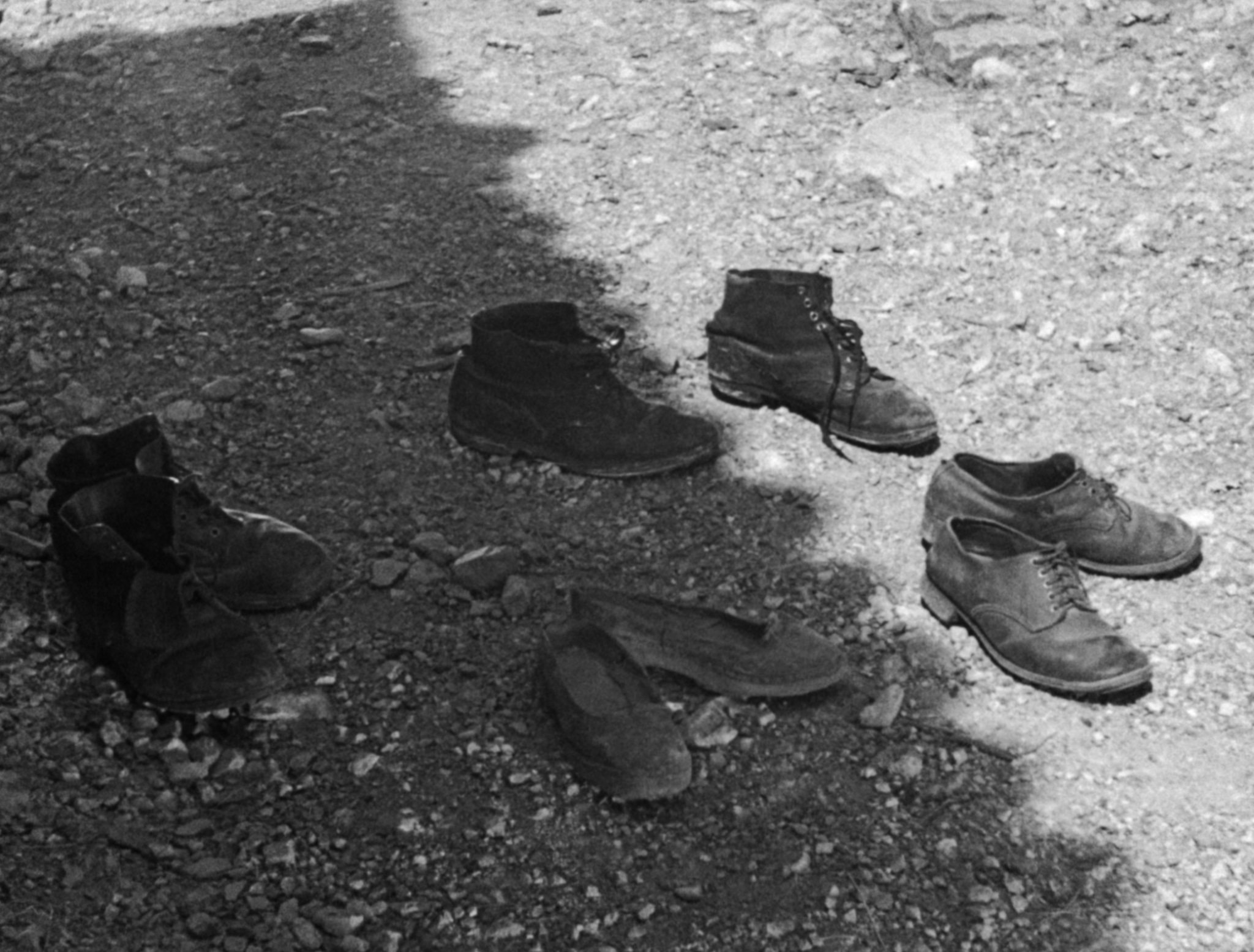 On Our Own Land | Slovenian film guide