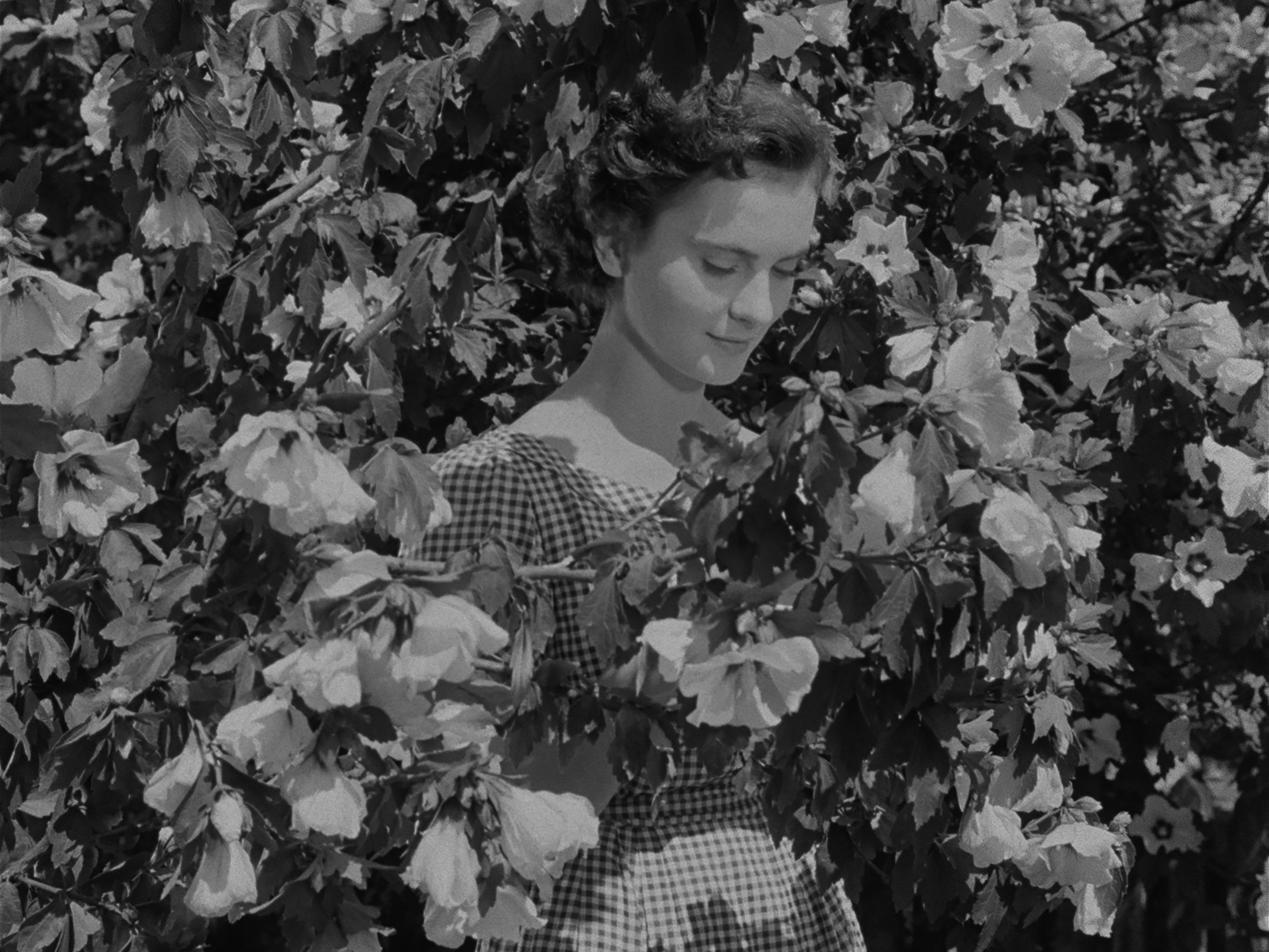 Vesna | Slovenian film guide